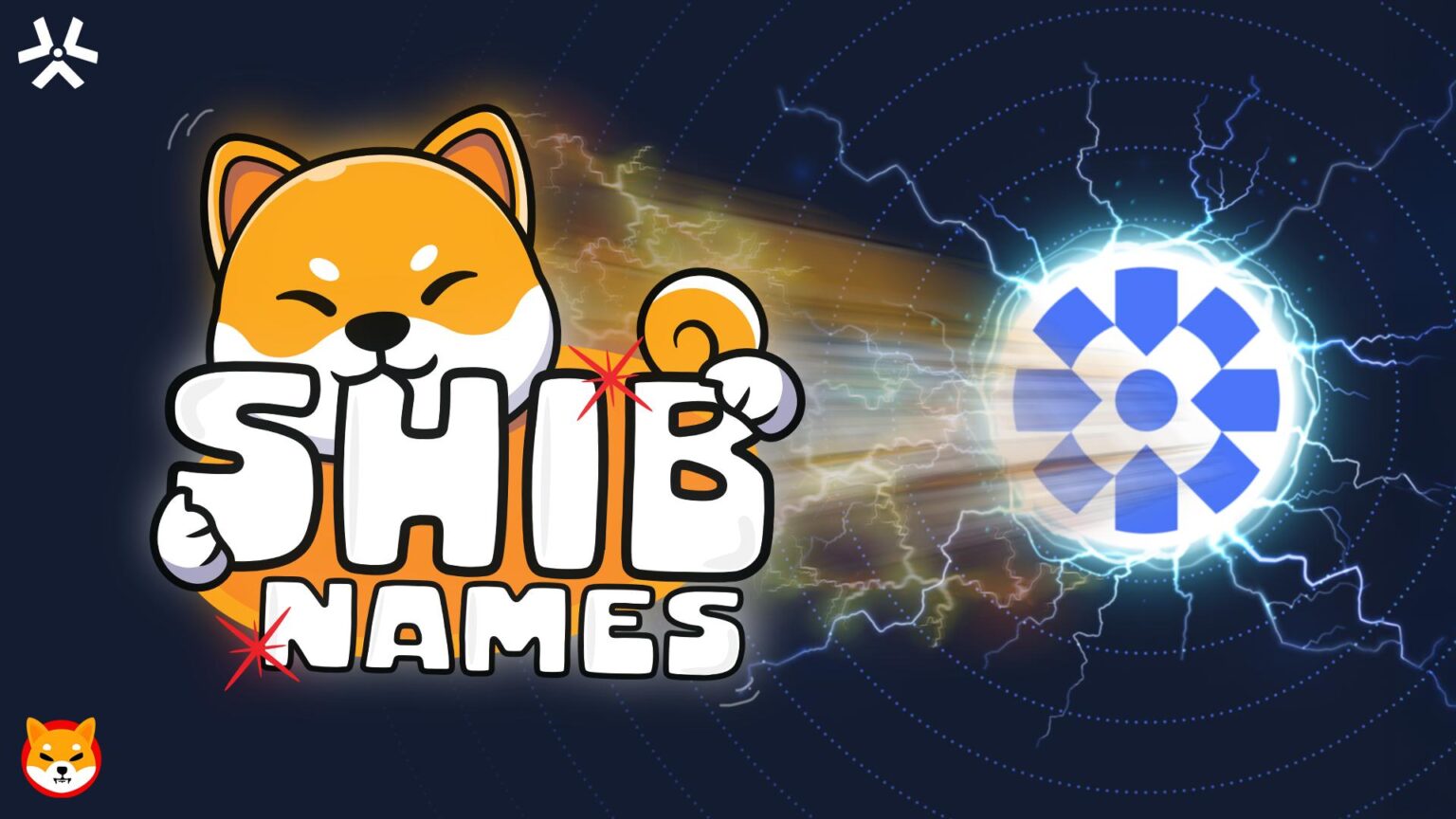 Doma Fuels Shib Name Surge with $1M Developer Grant - The Shib Magazine