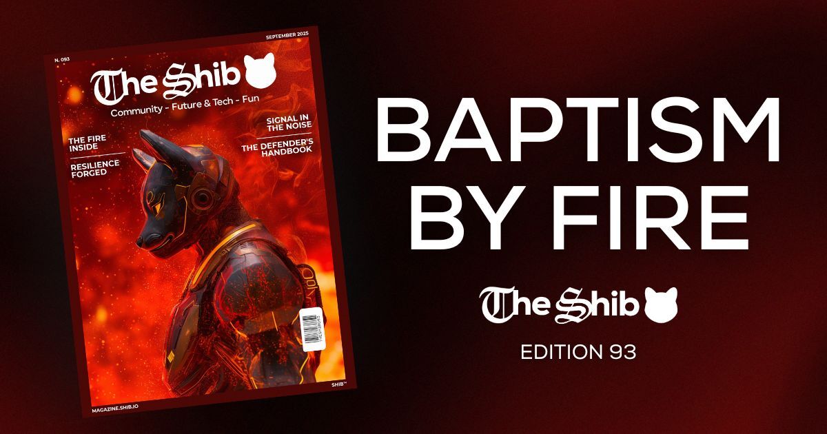 A Thoughtful Chronicle of the Refining Fire, Forged Now - The Shib Magazine